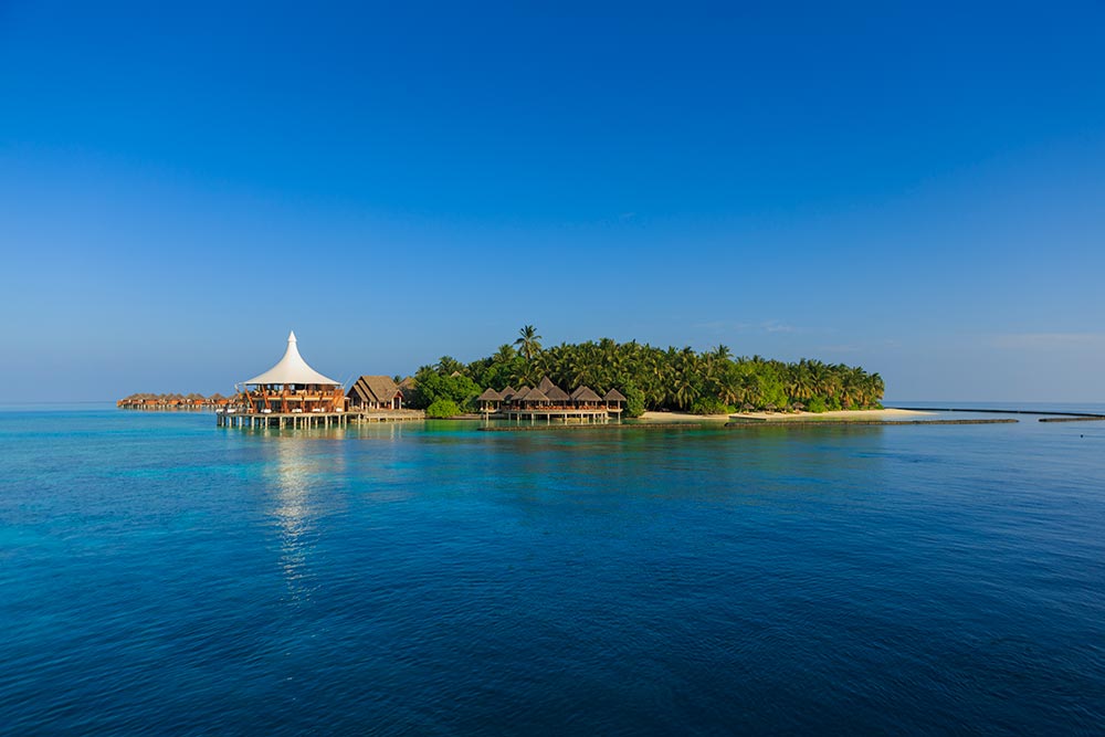 The Maldives with Mellyn Carroll - Wildlife Safari Luxury Travel Agents